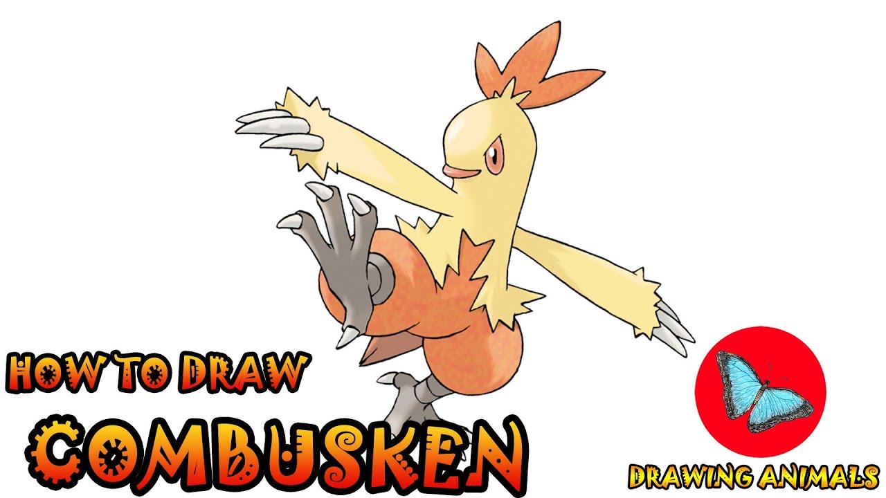 Combusken Pokemon