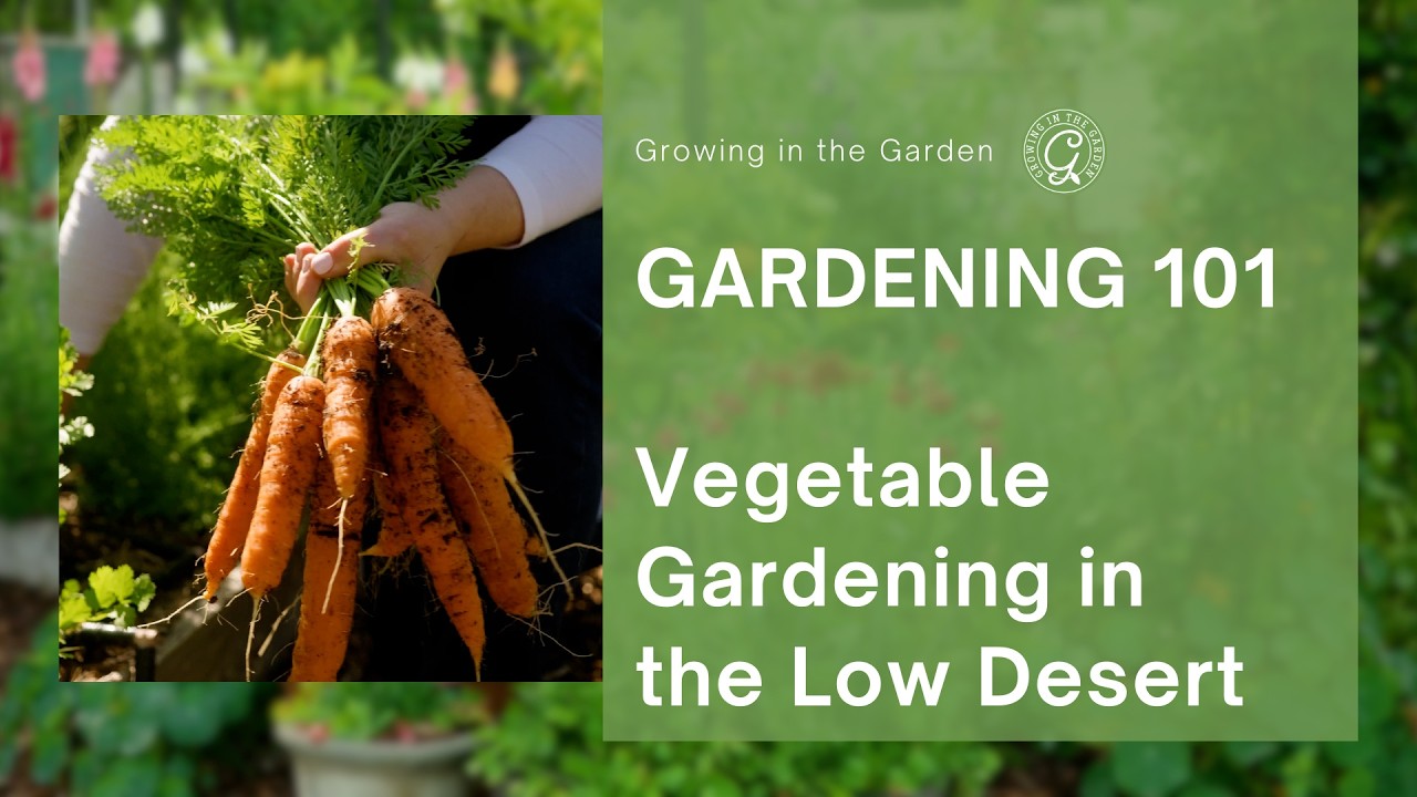 Desert Gardening 101: Growing Vegetables in Arizona (FULL CLASS) - YouTube