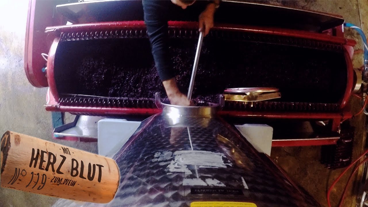 Trauben pressen und was mit dem Trester passiert | mit Herzblut zum ...