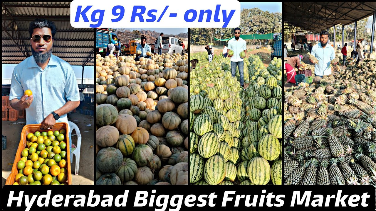 Telangana Largest FRUIT 🍇🍉 MARKET| Batasingaram Fruit Market| Wholesale ...
