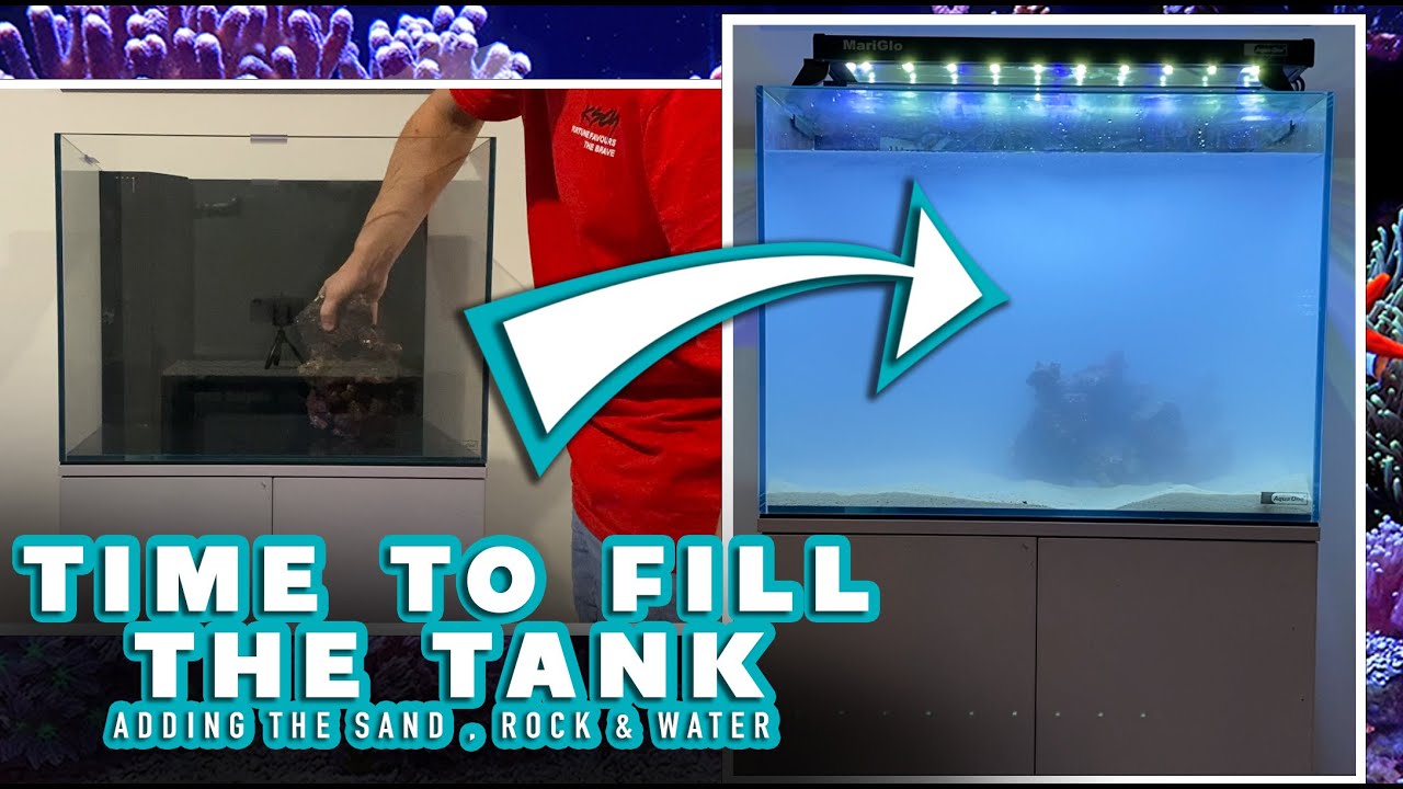 I add the sand, water and rock to the Aqua One Mini Reef 120 - YouTube
