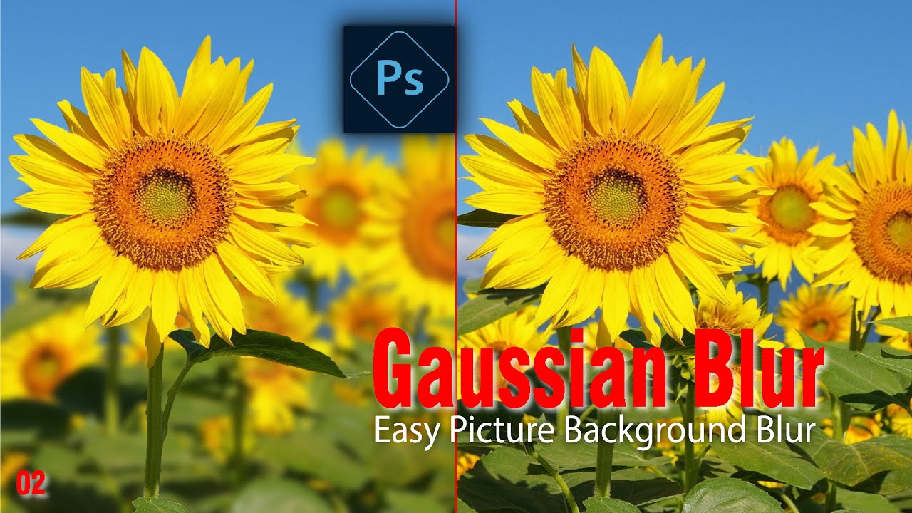 🔥Blur🔥 Using the Photoshop Gaussian Blur Trick | Picture Background ...