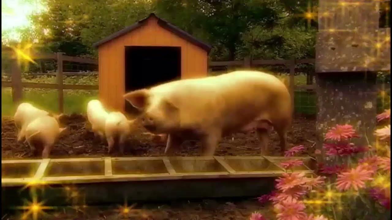 Big Barn Farm - Ms Snuffles Song - Instrumental - YouTube