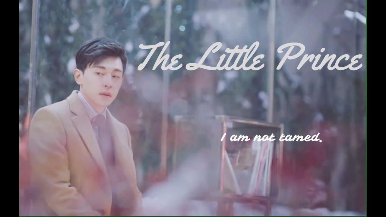 [Deng Lun Fan Edit] 邓伦饭制视频|白噪音系列|小王子|The Little Prince |Please, tame me ...