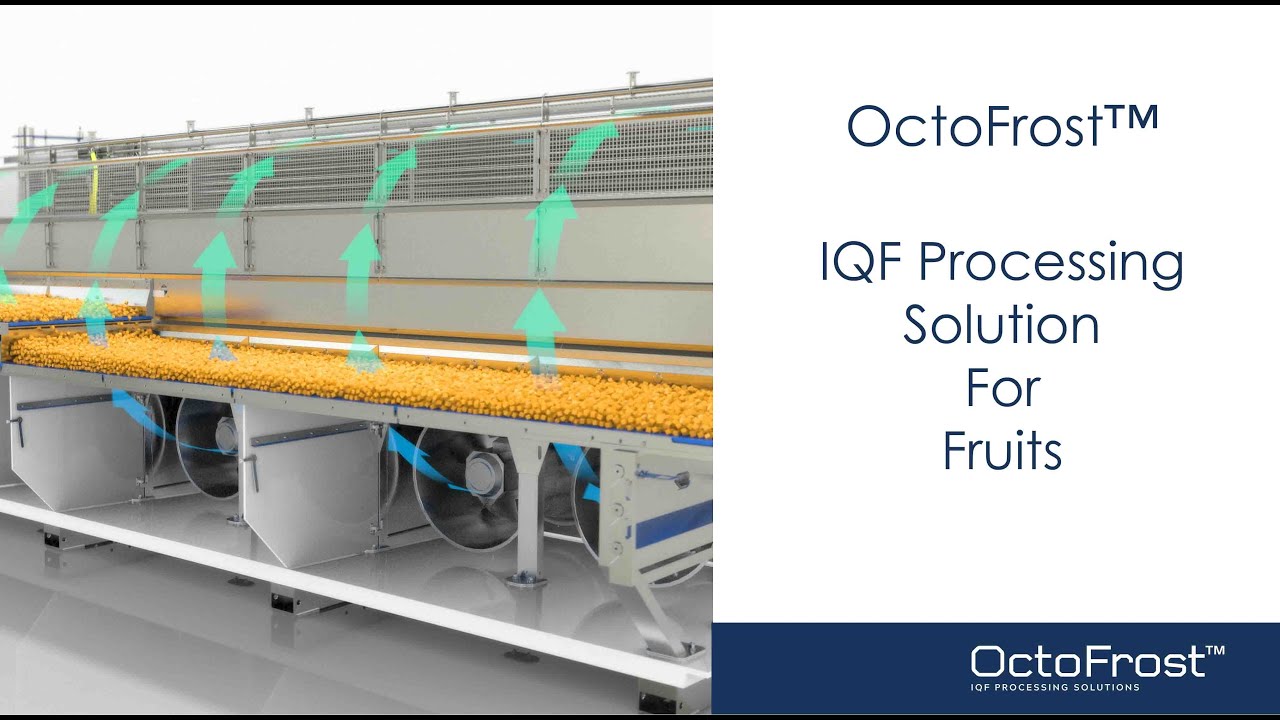 OctoFrost™ IQF Processing for Fruits and Tropical Fruits | IQF Freezing ...