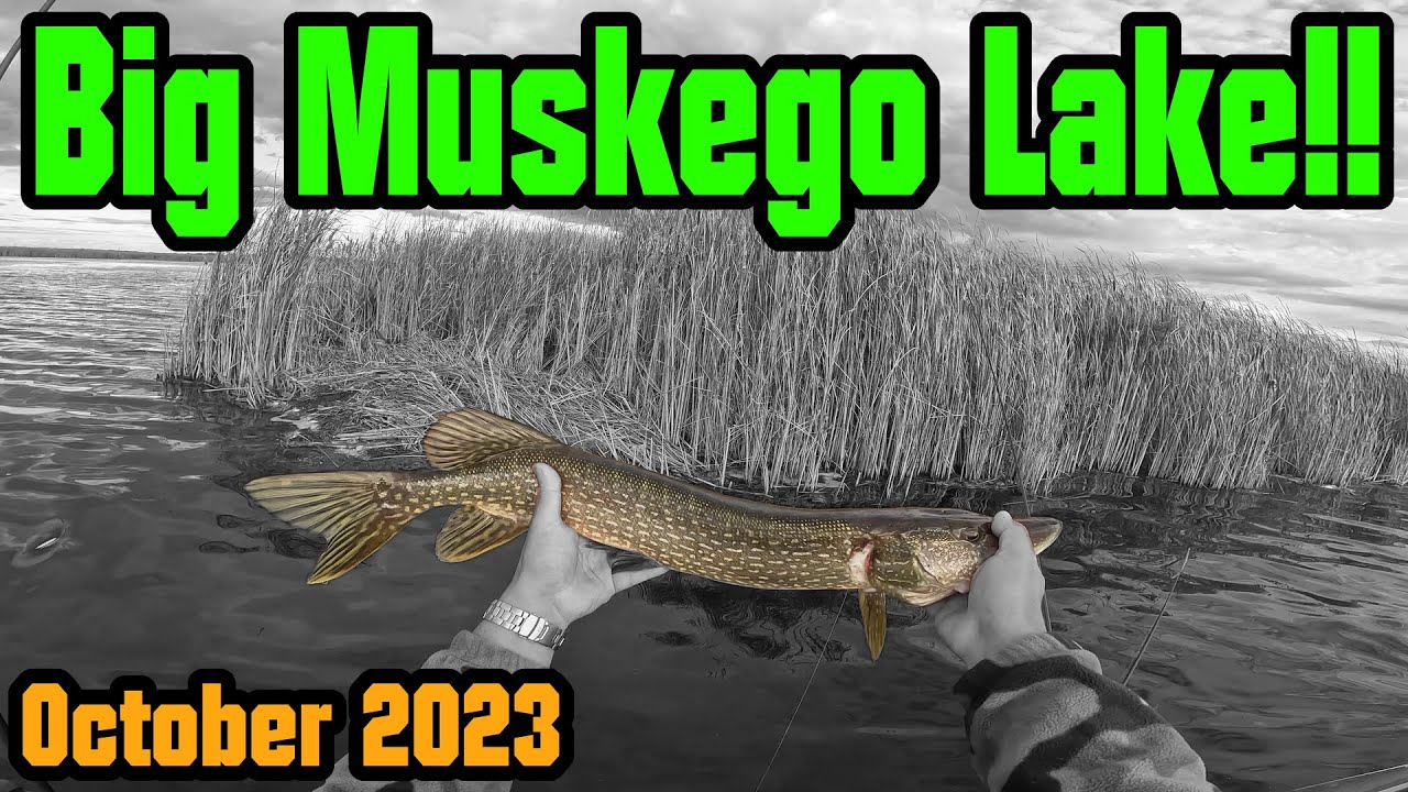 Bass and Pike on Big Muskego Lake [BIG MO] - YouTube