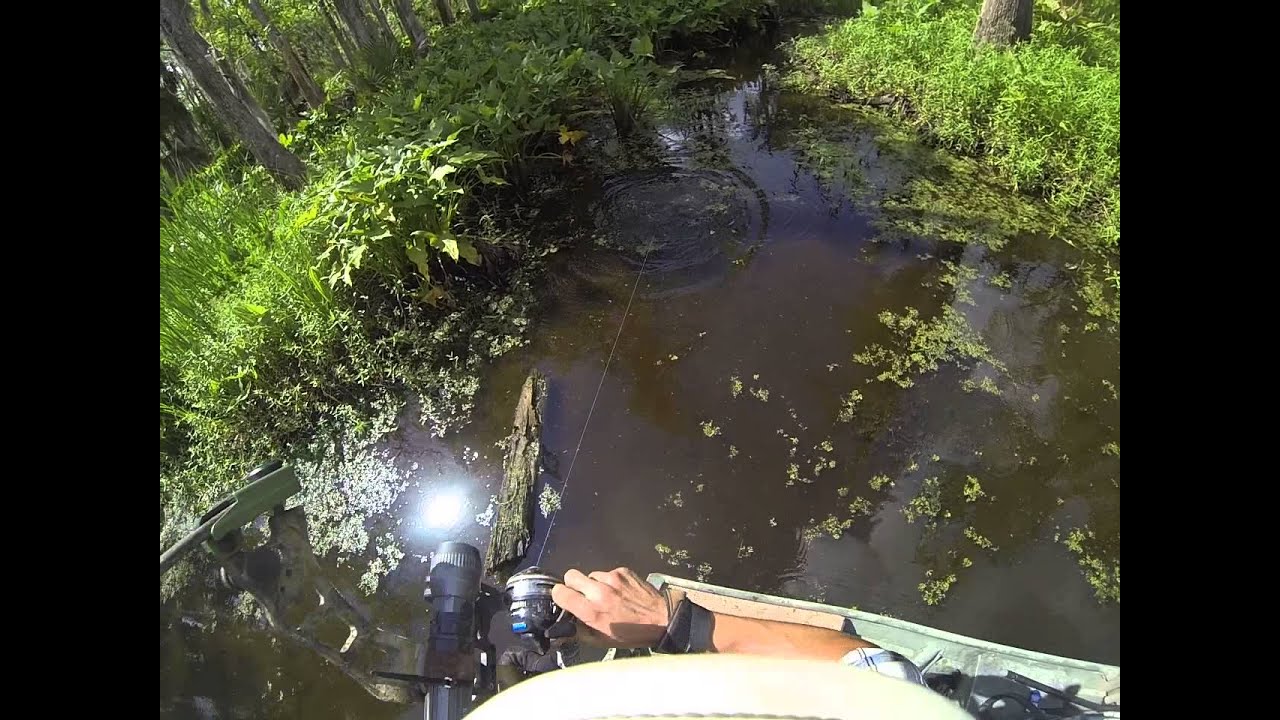 Bowfishing Ruddock Louisiana - YouTube