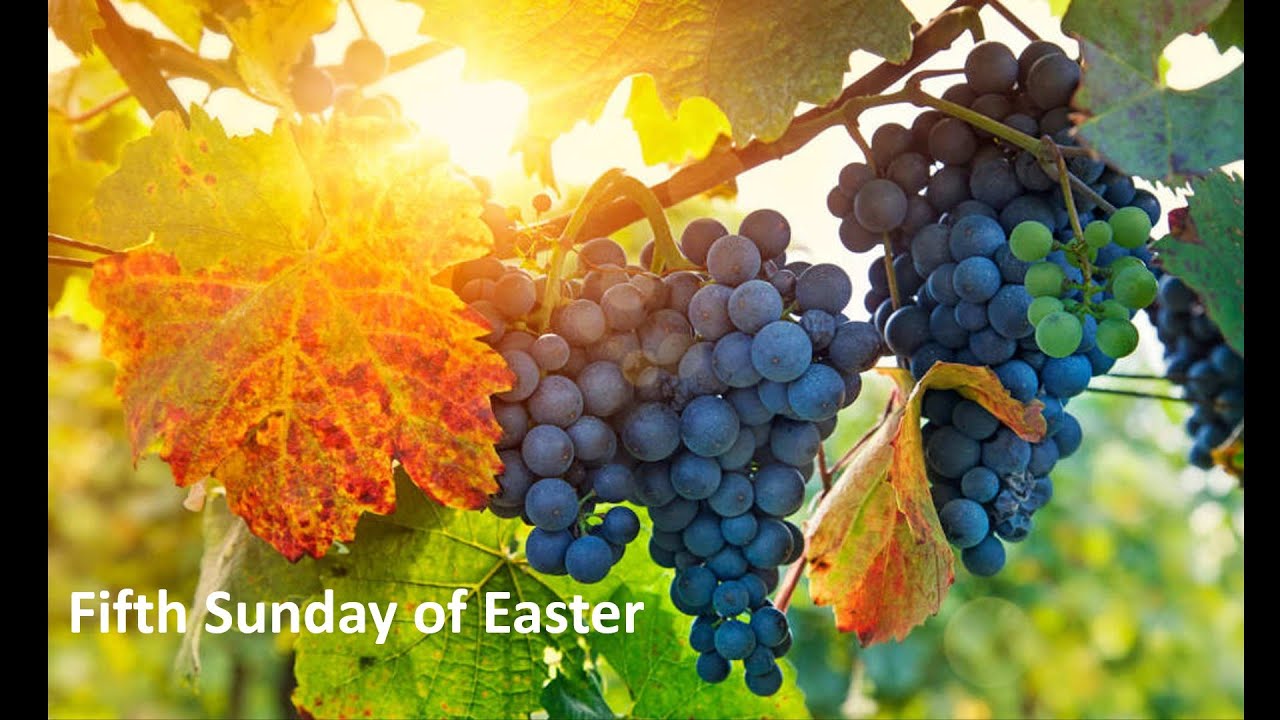 Fifth Sunday of Easter - YouTube