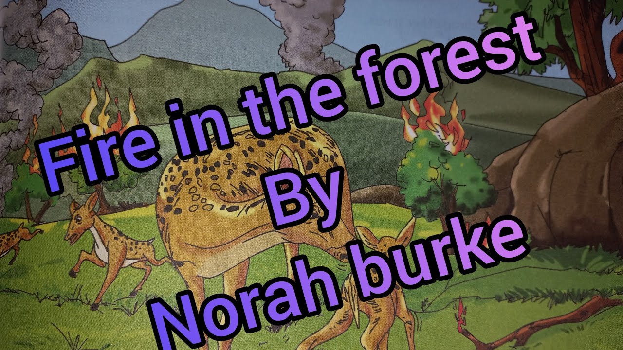 fire in the forest By Norah burke class 7 , cambridge english reader ...