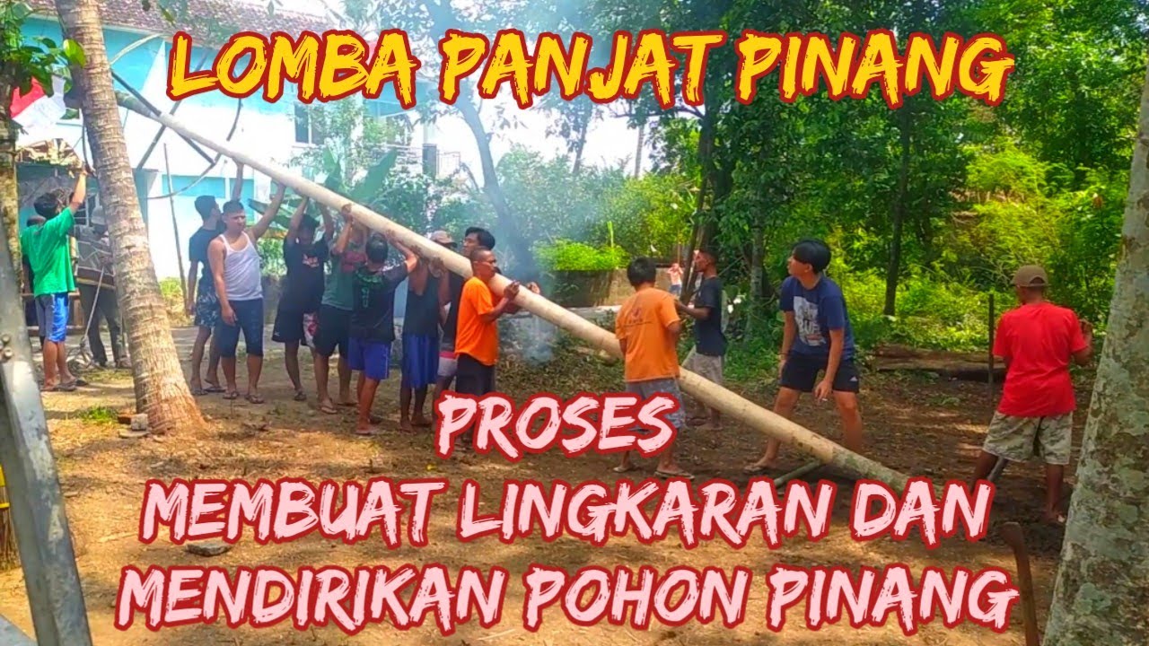 Persiapan untuk Lomba panjat pinang - YouTube