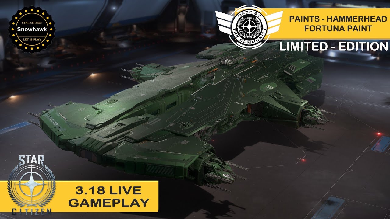 STAR CITIZEN: HAMMERHEAD - FORTUNA LIMITED PAINT - YouTube