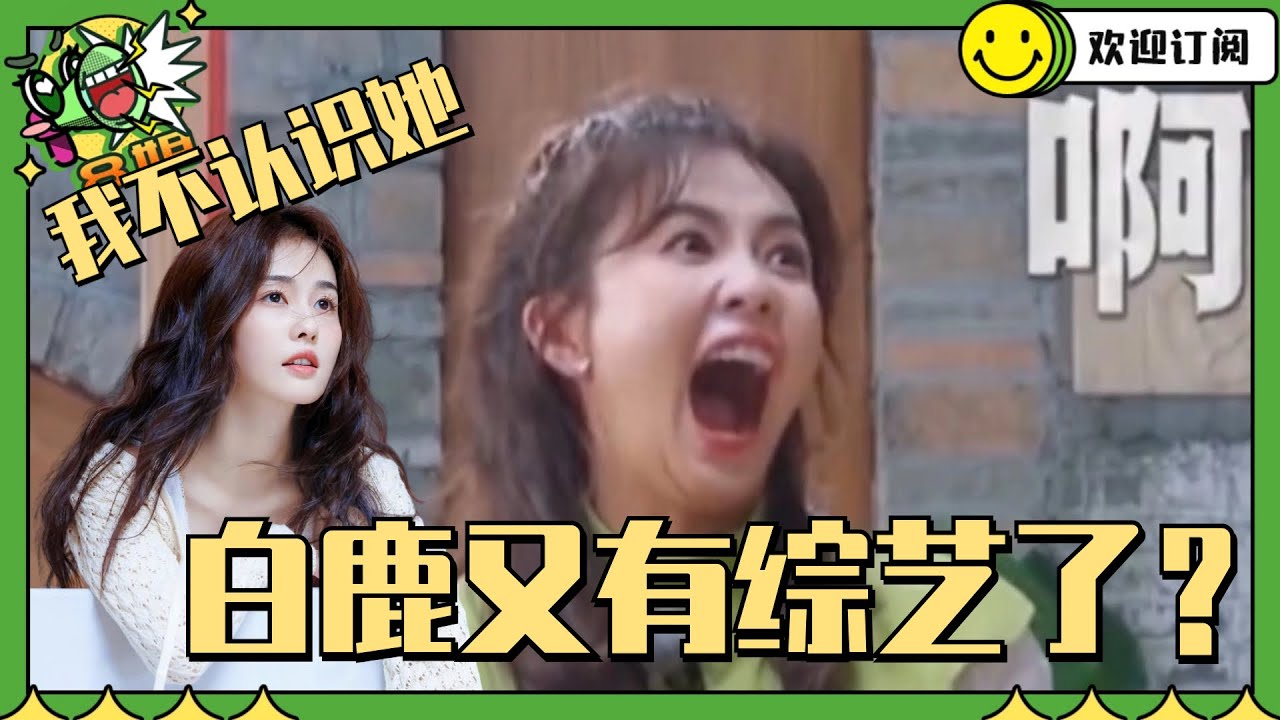 白鹿 综艺爆笑名场面:一开口秒变搞笑女 偶像包袱碎到拼不起来 8姐就爱扒八叭 Youtube