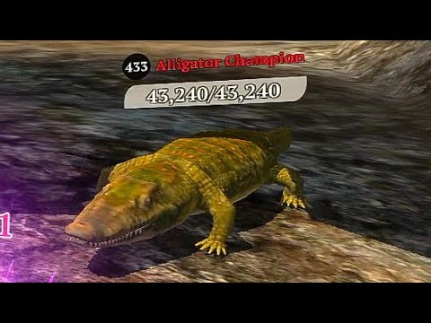 The Wolf - Alligator Champion 🏆 - YouTube