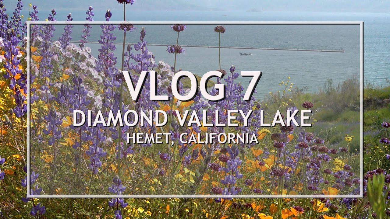 DIAMOND VALLEY Lake in the spring, Hemet. California. Shot with ...