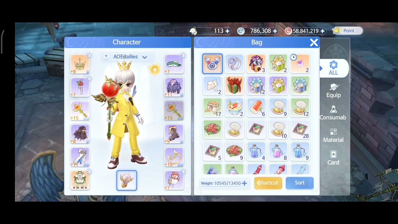 Ragnarok Origin - High Wizard Budget Build Dark Frame Solo Exp Grinding ...