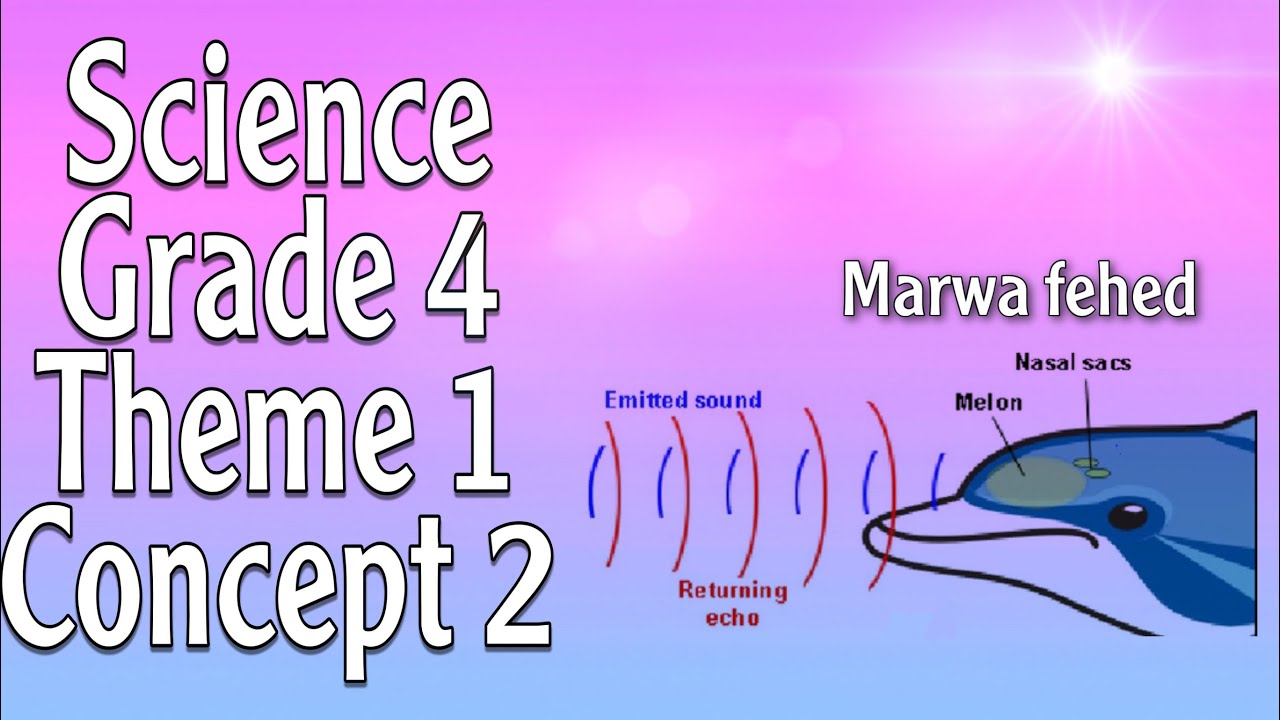 Science grade 4 theme 1 concept 2 lesson 2 - YouTube