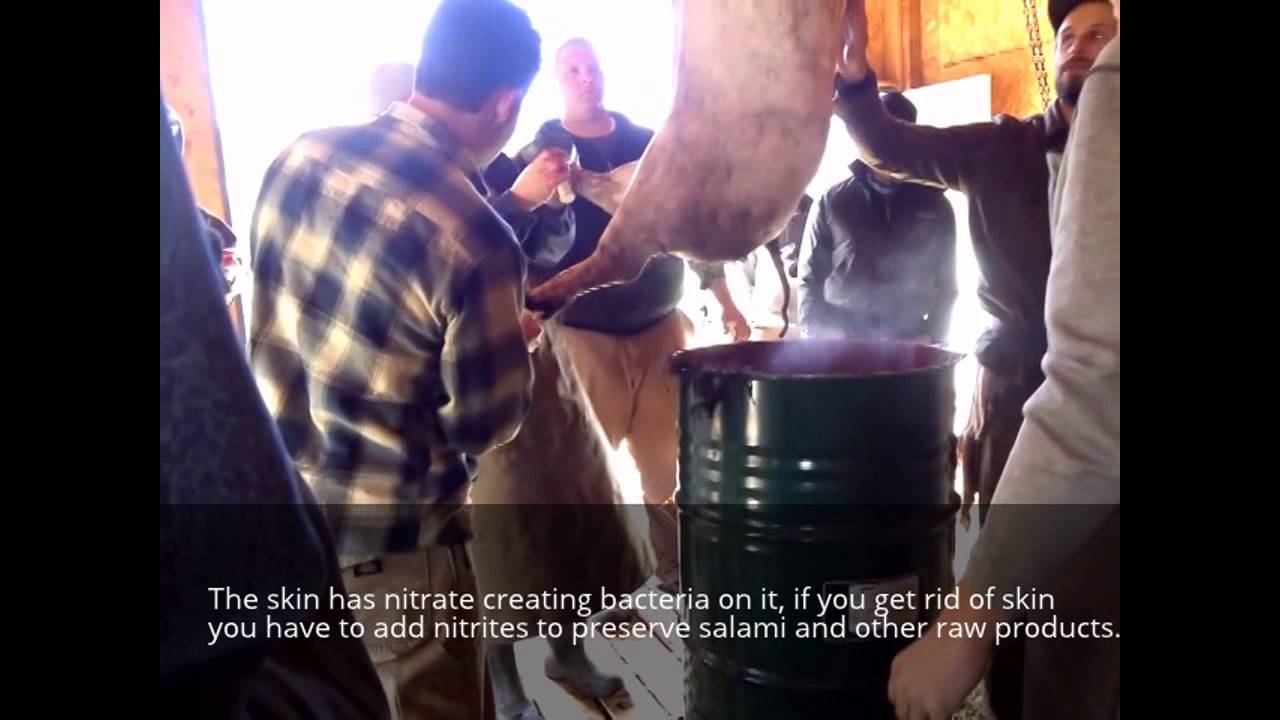 Home Pig Butcher (scraping, not skinning) - YouTube