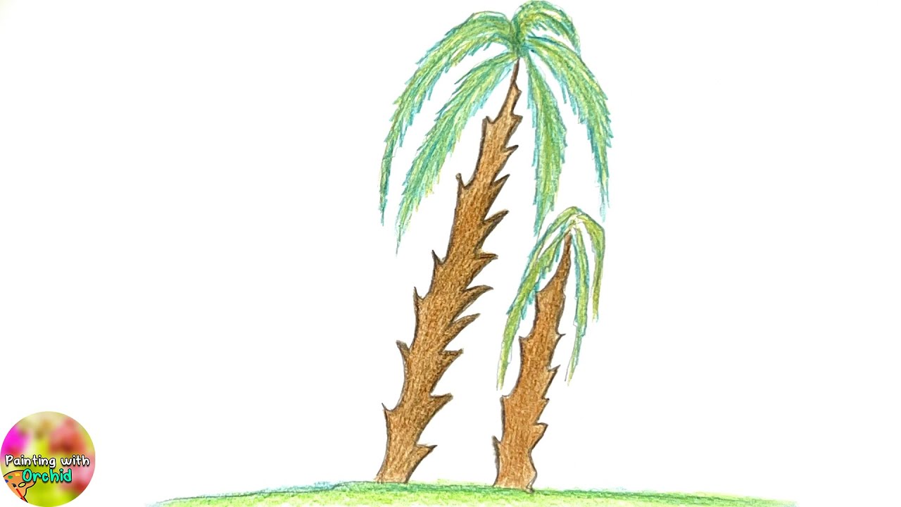How to draw Palm trees ? Làm thế nào để vẽ cây cọ? ¿Cómo dibujar ...
