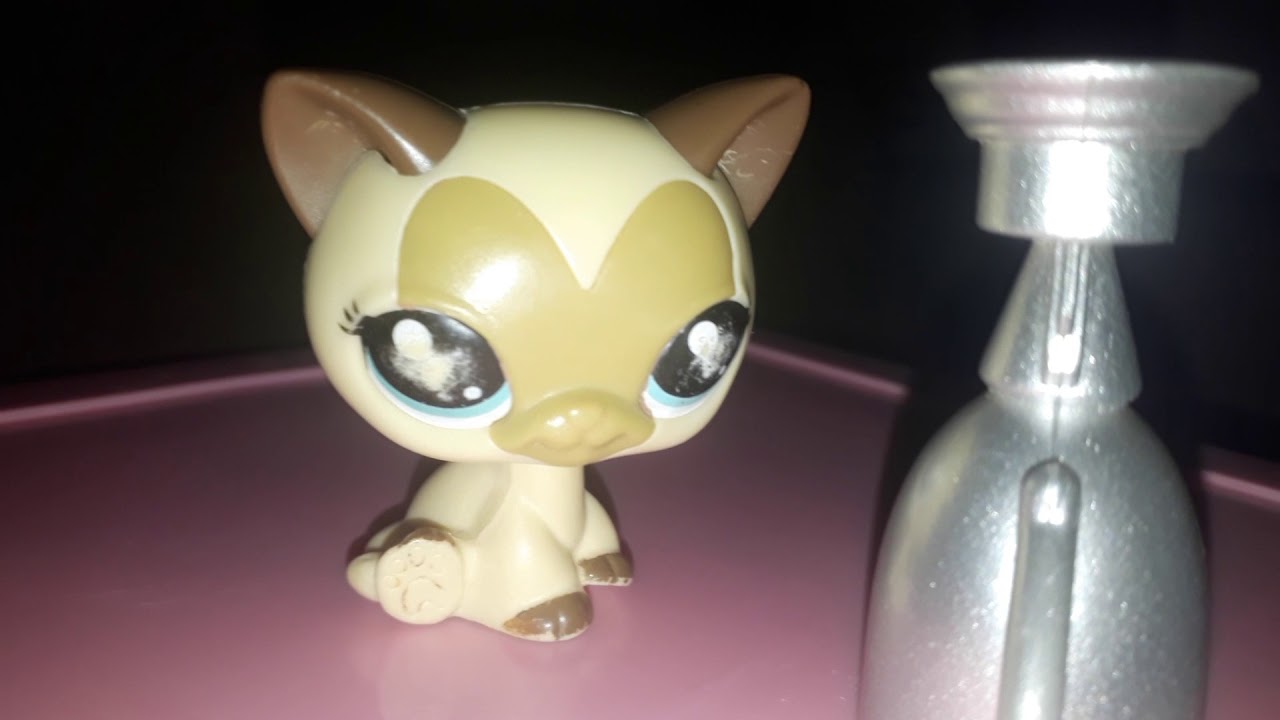 The voice lps - YouTube