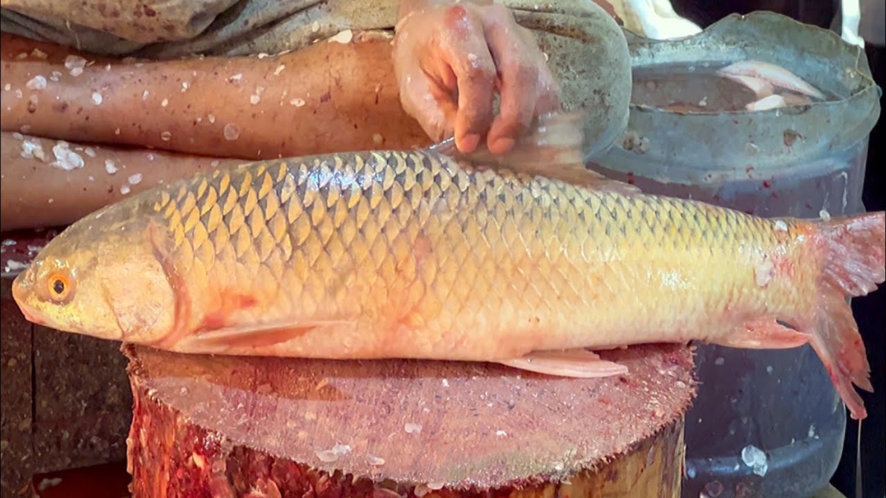 Amazing Cutting Skills | Big Mrigal Fish Cutting Skills In Fish Market ...