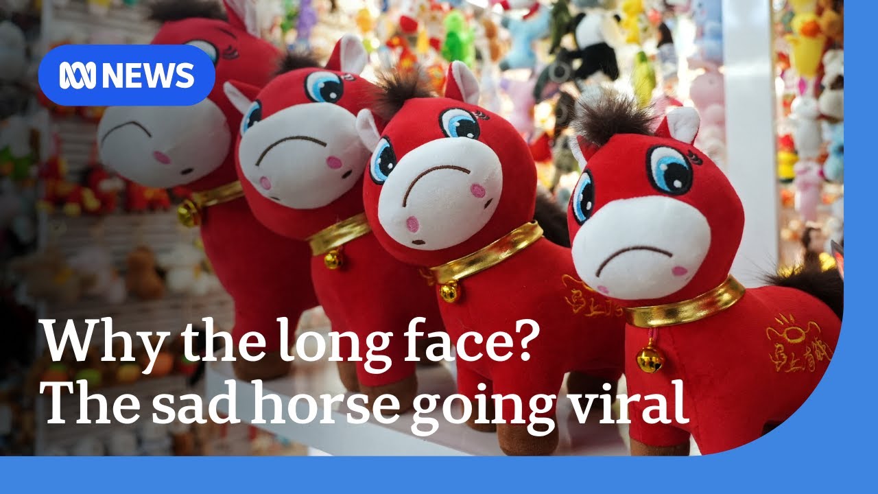 Year of the sad horse: Factory mistake creates viral toy in China | The ...