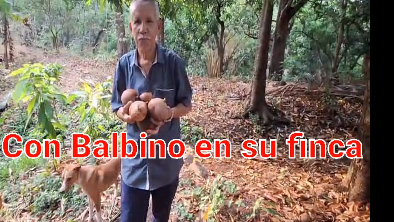 en la finca de Balbino con los amigos - YouTube