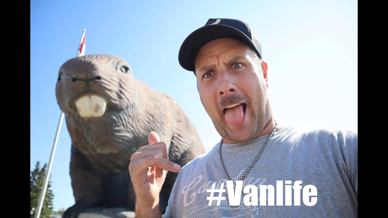 I Found the WORLD’S BIGGEST BEAVER 🦫 - YouTube
