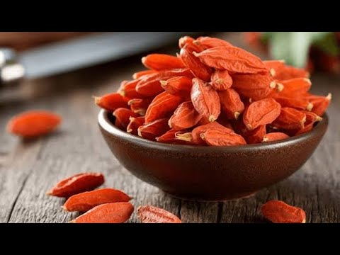 HEALTH BENEFITS OF GOJI BERRIES | GOJI BERRIES HEALTH BENEFITS ...