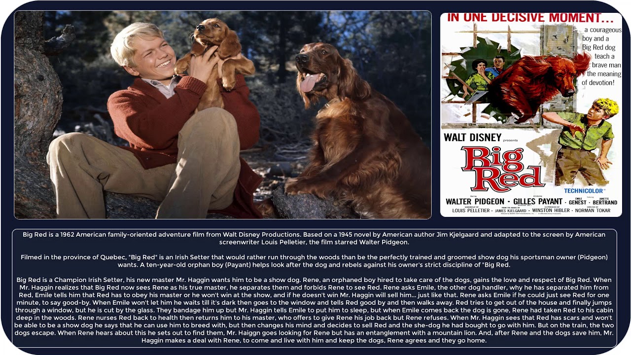 Big Red Movie Review - YouTube