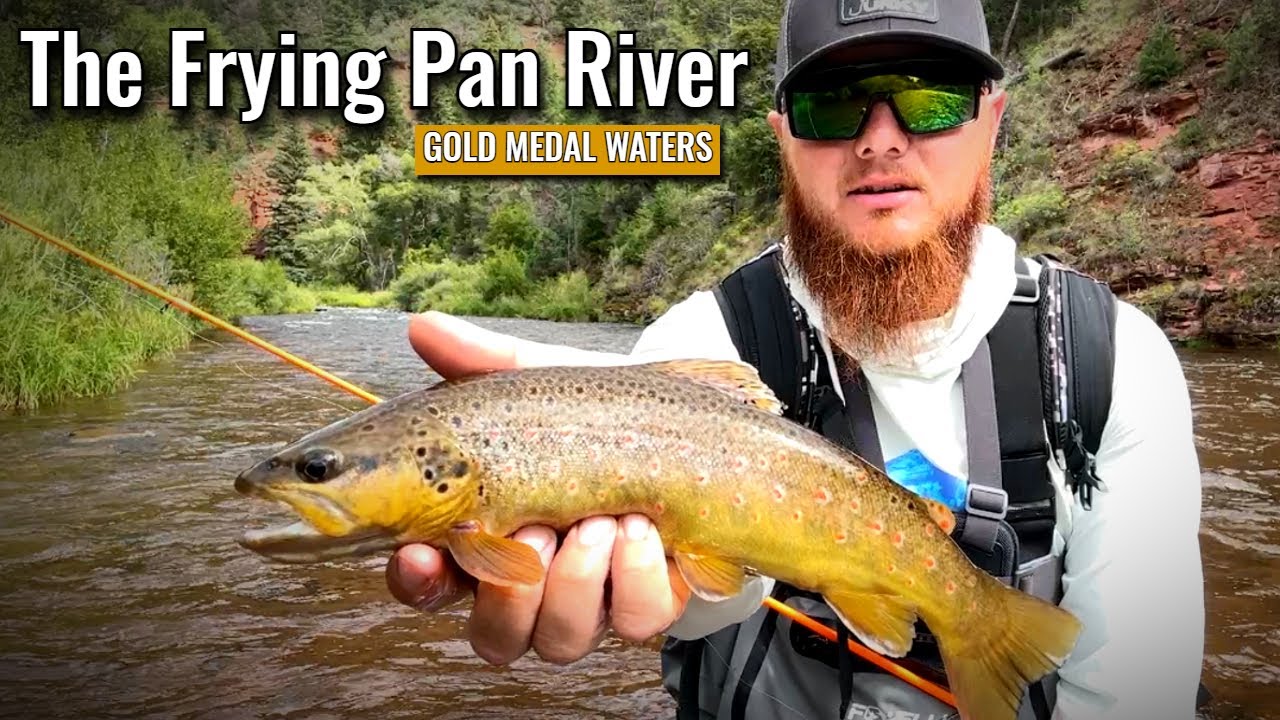 Early Fall Fishing in Colorado for Brown Trout (The Frying Pan River ...