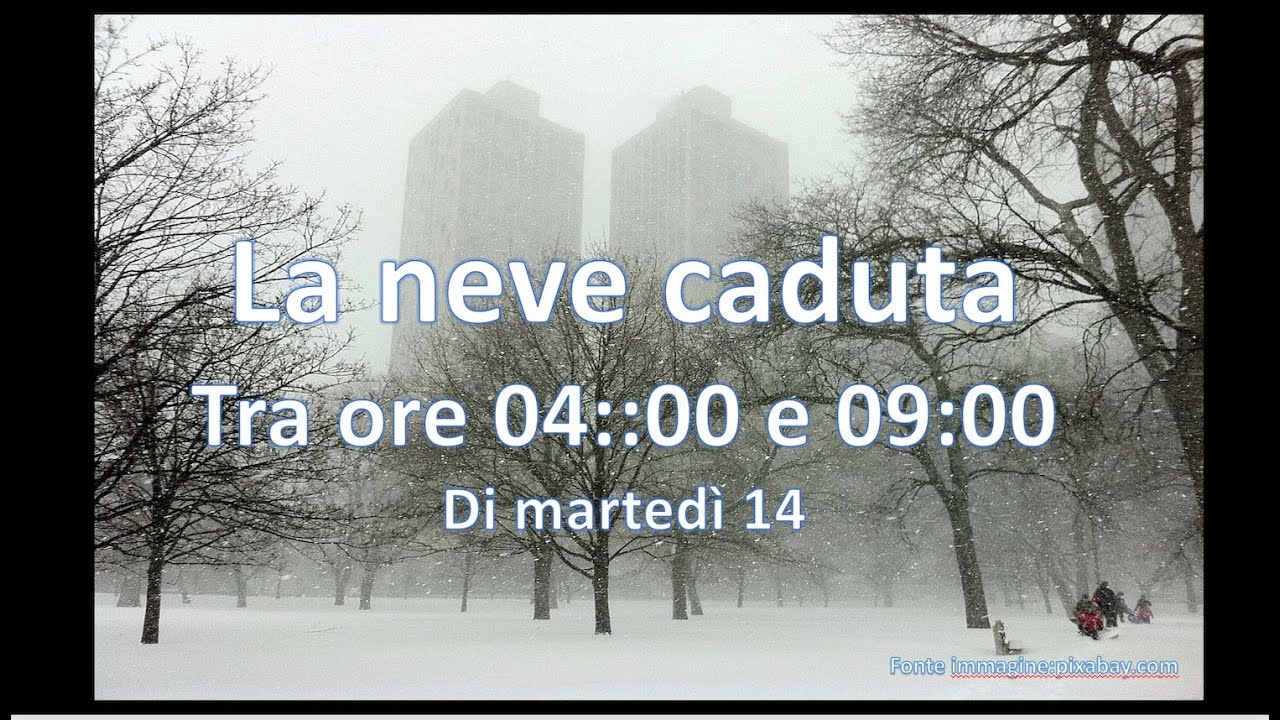 La neve caduta in pianura al Nord tra le ore 04:00 e 09:00 di martedì ...