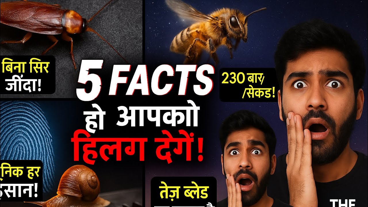 “5 Amazing Facts That Will Blow Your Mind!”🧠😱 | Amazing Facts| THE ...