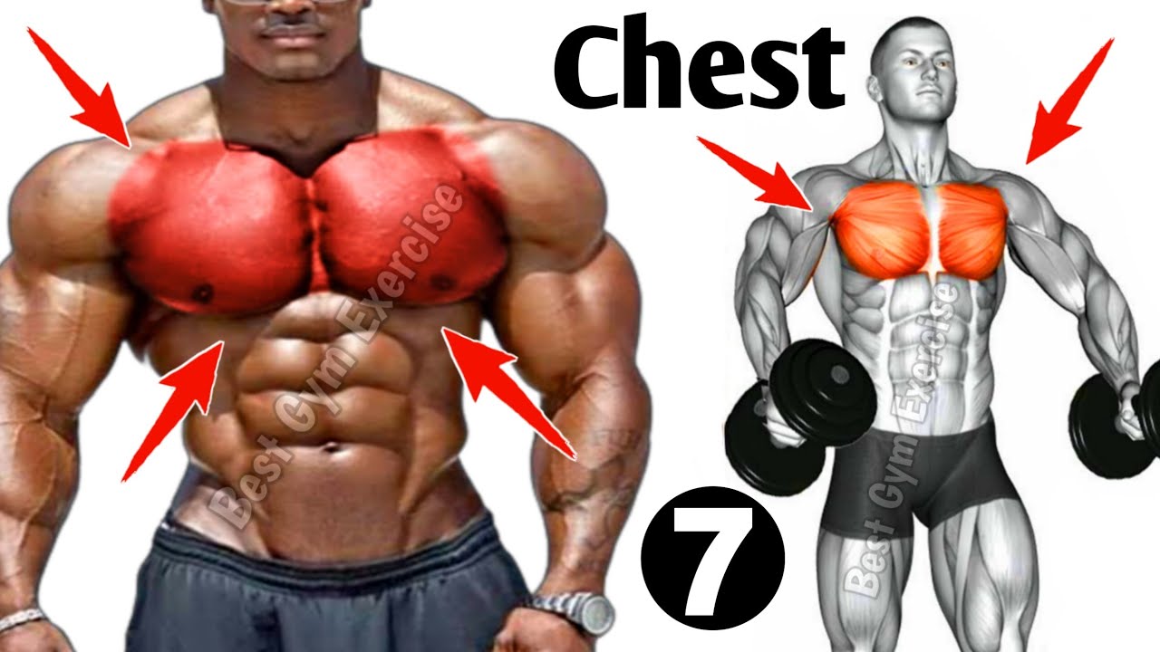 7 Perfect Chest Exercises For Big Pec - Best Gym Exercise - YouTube