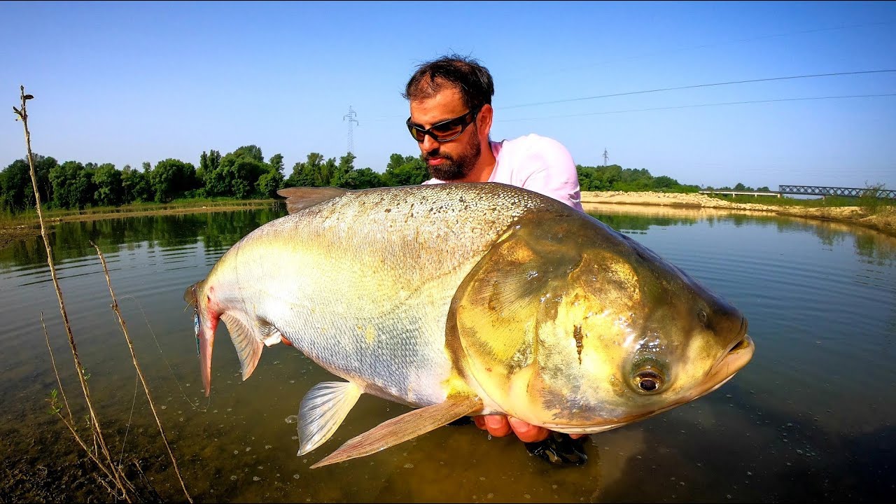 River Sava fishing -- testing new Ryobi reels - YouTube