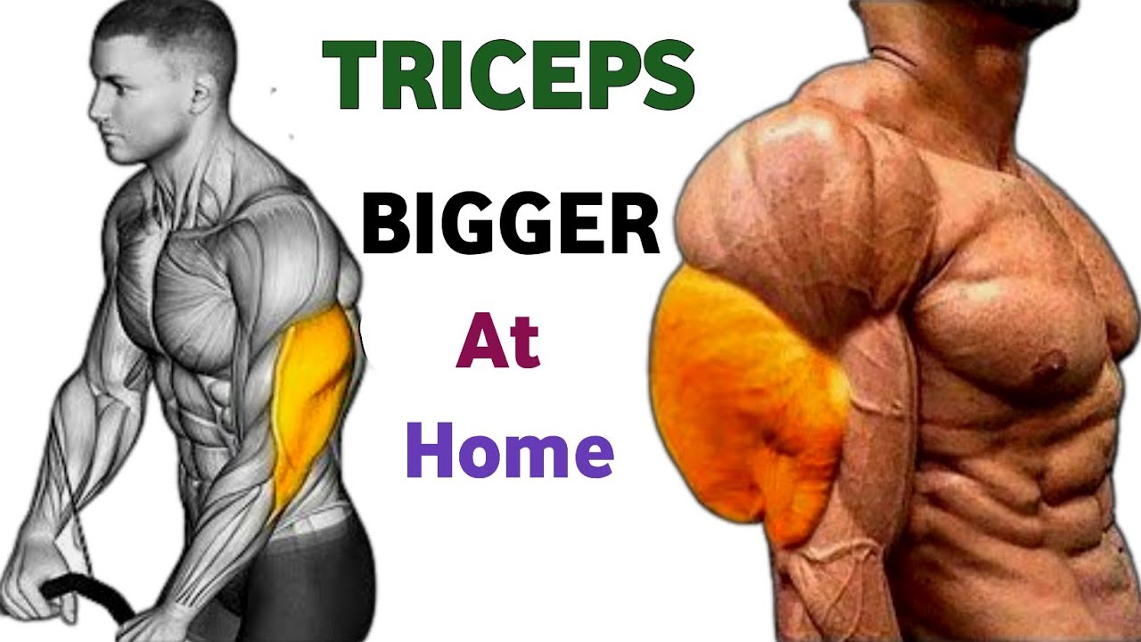 Best exercise for triceps at home | triceps workout #triceps #tricep ...