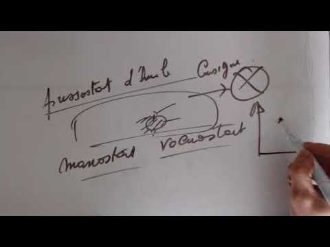 Pressostat , Manostat, Vacuostat - YouTube