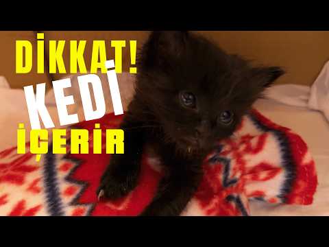 bizim başımıza bir şey geldi. yine!