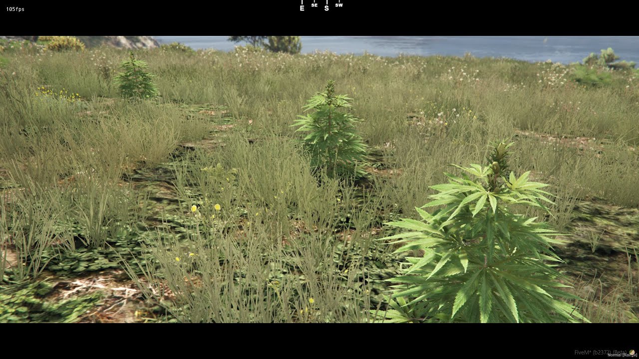 Fivem Qbcore Esx Weed Growing Youtube - vrogue.co Fivem Qbcore Esx Weed Growing Youtube - vrogue.co
