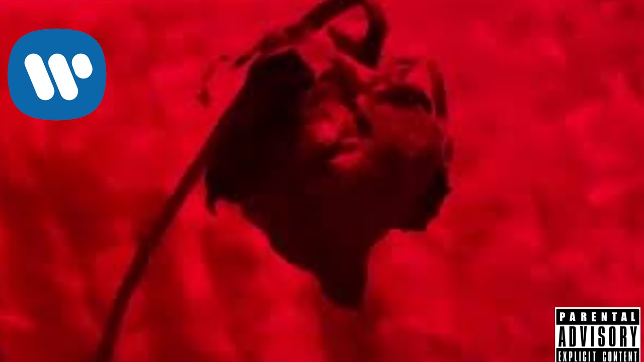 Replay- Destello morado Deluxe (vizualizer) - YouTube