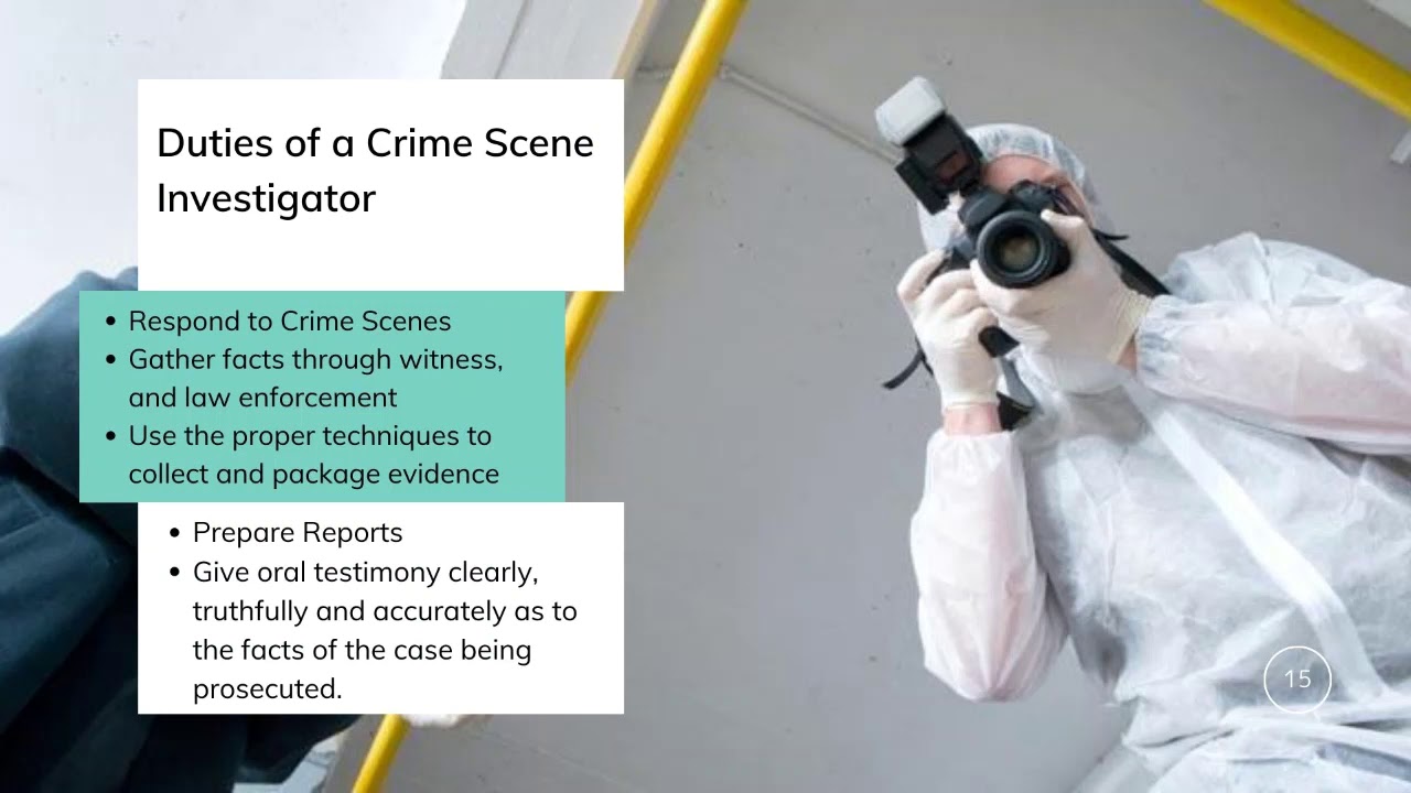 CSI Career Path - YouTube