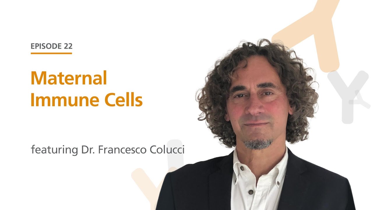 Maternal Immune Cells featuring Dr. Francesco Colucci | The Immunology ...