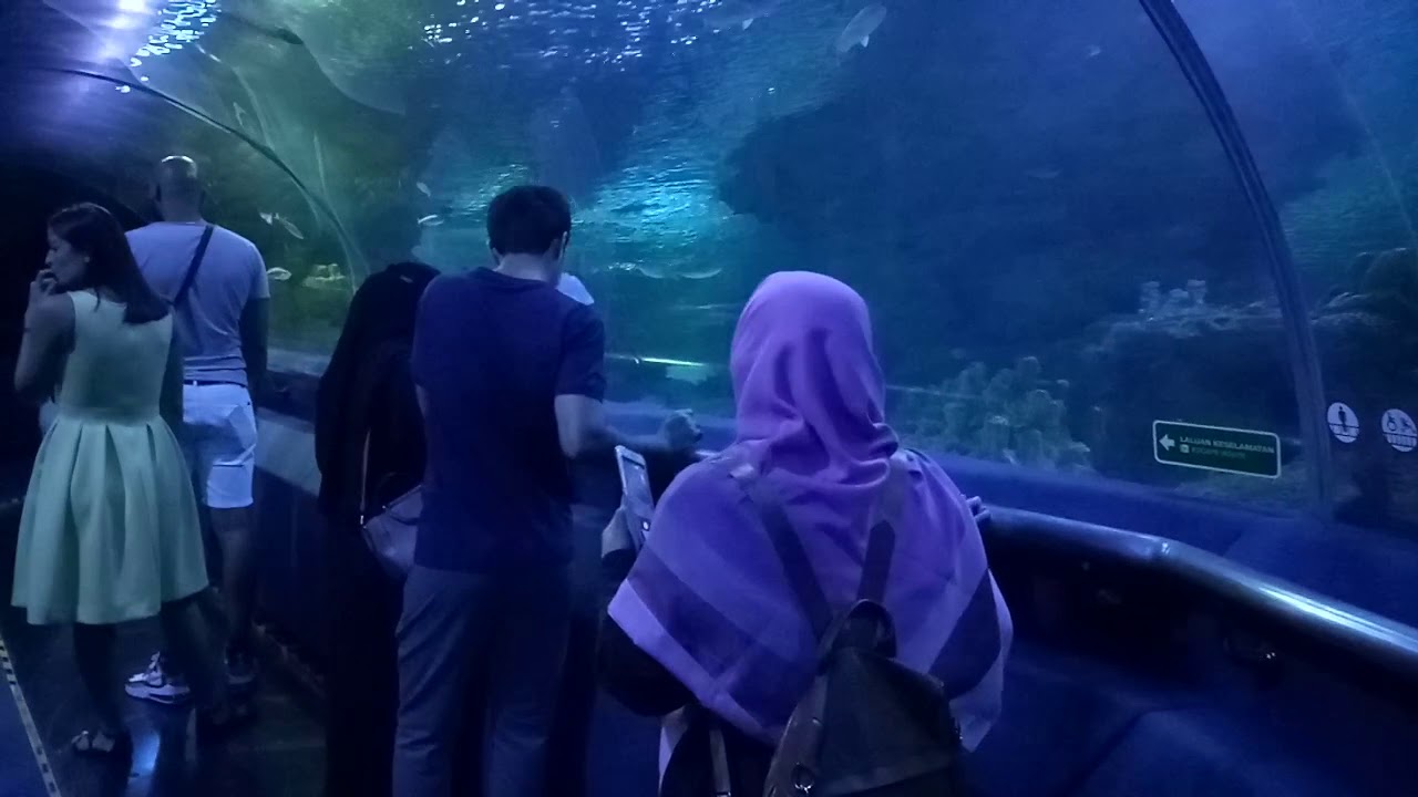 aquarium KL - YouTube