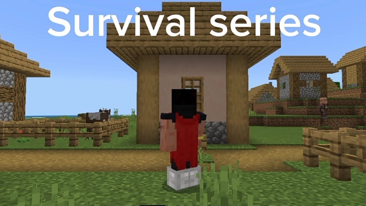 my first Survival series #minecraft #survival - YouTube
