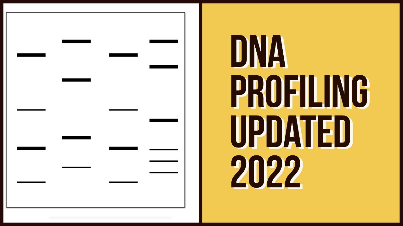 DNA Profiling-Updated 2022-Leaving Cert Biology - YouTube