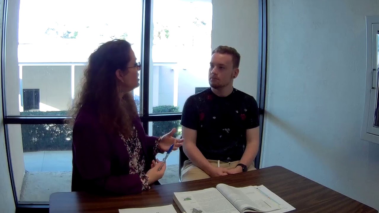 Ann Laffey Short version - counseling a student during office hours ...