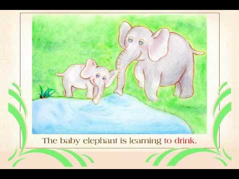 Baby Animals Learn All Kinds of Things - YouTube
