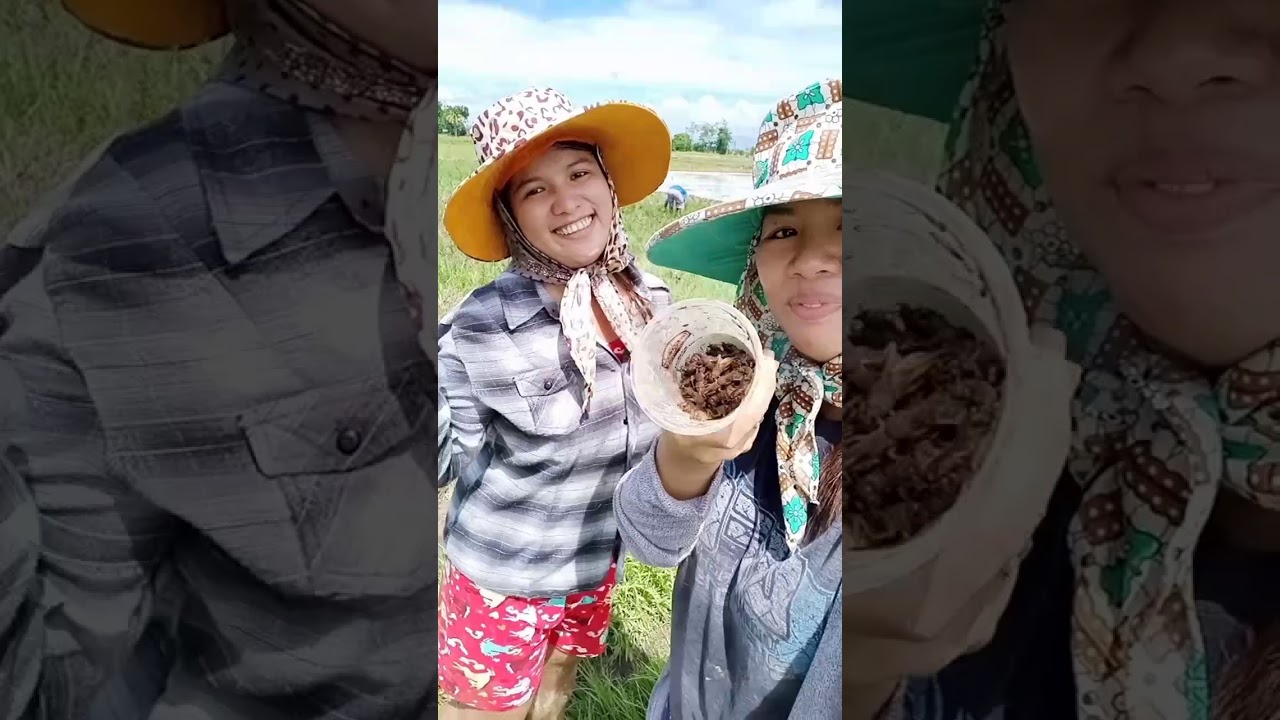 Let's get kamaru ( ARARAWAN in ilocano ) Part 4 - YouTube