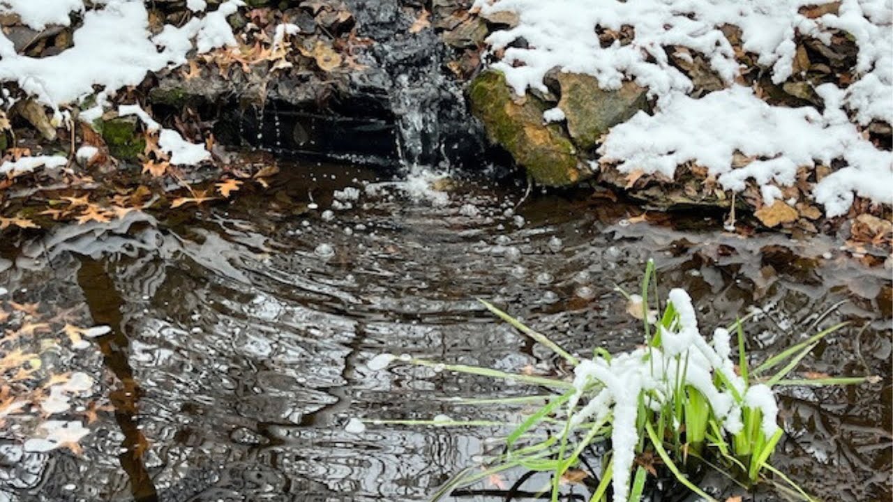 The Sacredness of Nature - Rev. Dr. Peter Luckey - YouTube