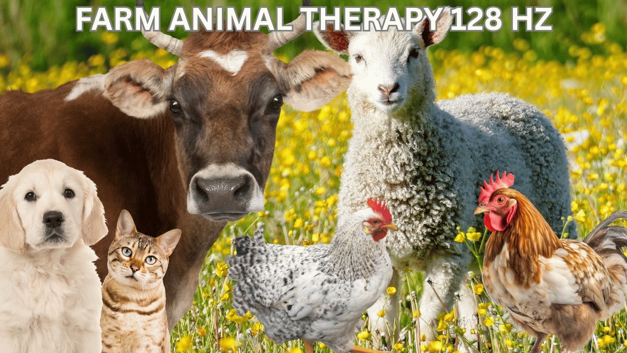 128 HZ FARM ANIMAL VIDEO🌾RELAXING FARM NATURE AMBIENCE 🐮128 hz ...