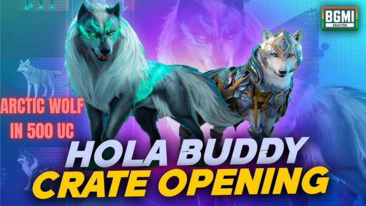 ARCTIC WOLF CRATE OPENING 🥵| HOLA BUDDY CRATE OPENING 😚 | WOLF BUDDY😘 ...